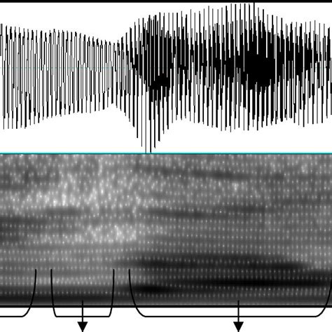 spectrogram and waveform of the words can grow an example of an