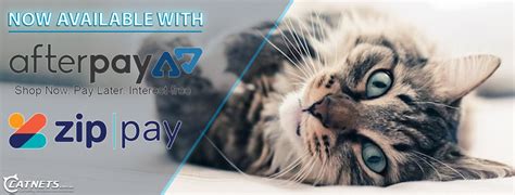 Catnets Cat Enclosures Cat Nets Cat Netting Cat Runs Containment