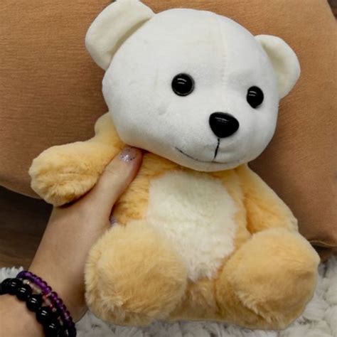 Мʼяка іграшка Ведмедик в костюмі котика 24 см іграшки з доставкою