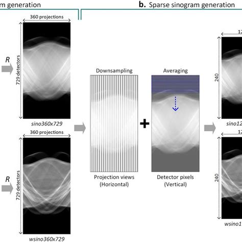 A Schematic Of Sinogram Generation With 360 Projection Views And 729