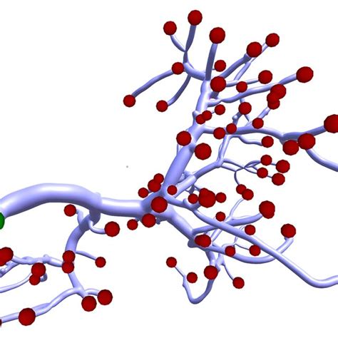 visualizing endpoint localization on a vascular model spheres