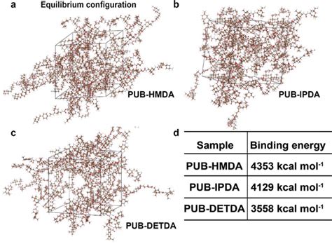 Schematic Representation Of The Simulated Molecular Cell In The