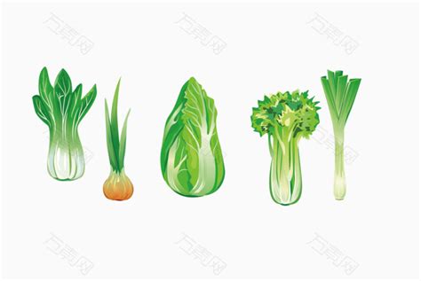 矢量白菜png元素素材图片下载 万素网