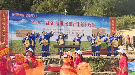 中国农民丰收节稻谷飘香说丰年