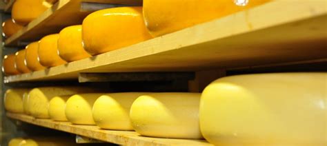 Medewerkers Bouter Cheese Gaan Opnieuw Staken Nieuwe Oogst