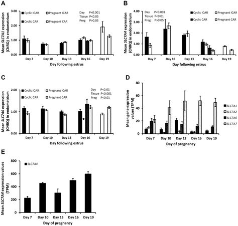 Data Are Displayed As Mean Calibrated Normalized Relative Expression Download Scientific