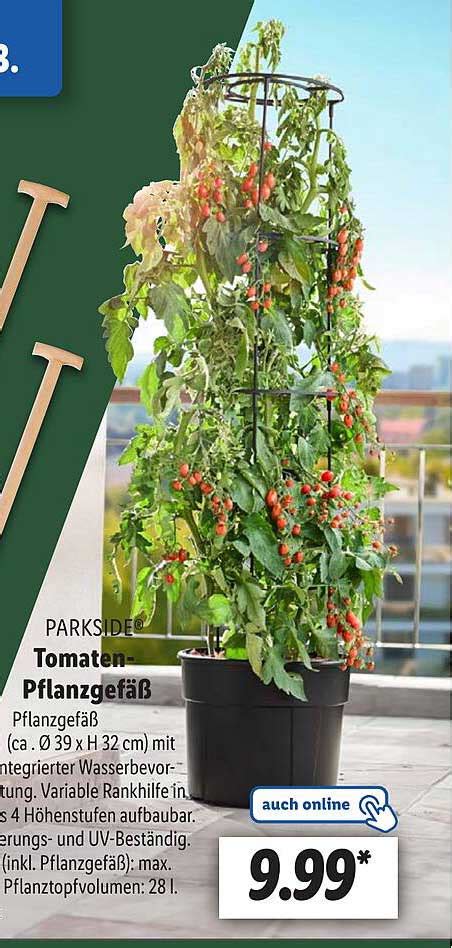 Parkside Tomaten Pflanzgefäß Angebot Bei Lidl 1prospekte De