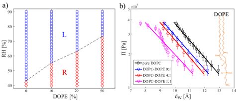 7 A The Phase Diagram Of Dopc Dope Mixtures At Rh 90 40 Each