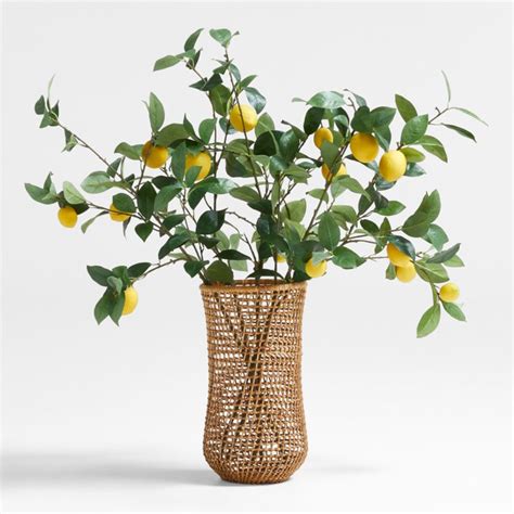 Faux Lemon Stem Reviews Crate And Barrel