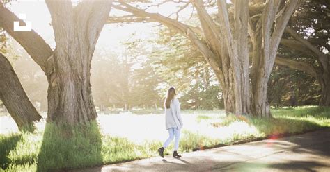 흰색 긴 소매 셔츠와 검은 바지를 입은 여자가 낮에 나무 사이의 길을 걷고 있다 사진 Unsplash의 무료 숲 이미지