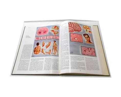 Nervous System Netter Ciba Collection Of Medical Illustration Vol 1