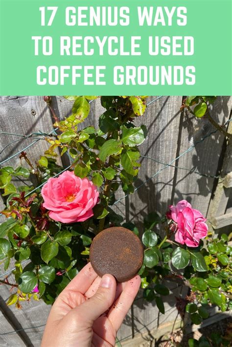 17 Genius Ways To Recycle Used Coffee Grounds Uses For Coffee Grounds