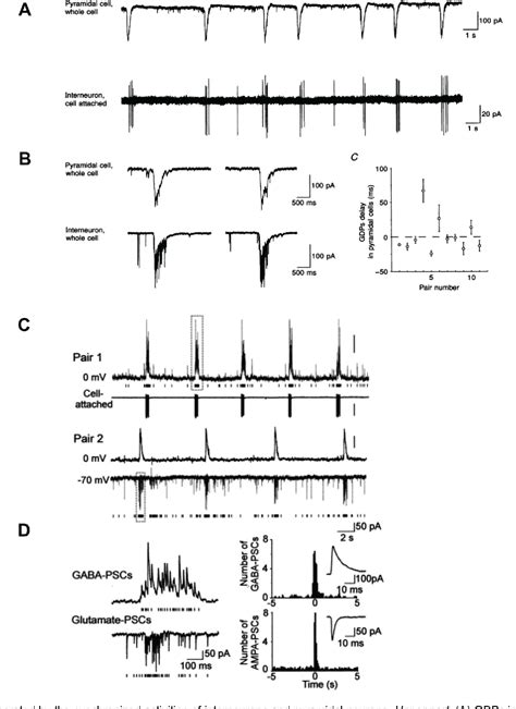 Figure 1 From The Gaba Excitatoryinhibitory Developmental Sequence A