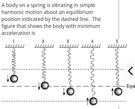Solved A Body On A Spring Is Vibrating In Simple Harmonic Chegg