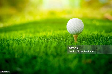 골프 공은 골프 배경의 흐릿한 아름다운 풍경에 티 잔디에 닫힙니다 건강 완화를위한 정밀 기술에 의존하는 개념 국제 스포츠 0명에 대한 스톡 사진 및 기타 이미지 Istock