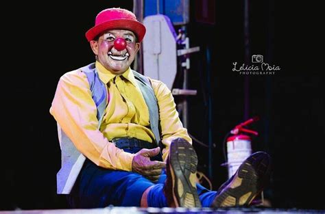 Circo Mundo Mágico Chega A Campo Grande No Bosque Dos Ipês Festas E