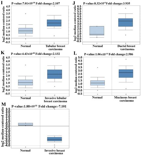 Continued Gins2 Expression In Different Studies And Different Types Of