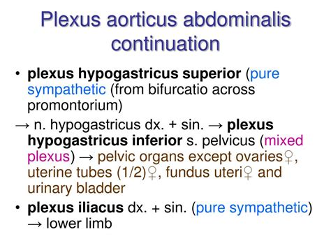 Ppt Autonomic Nervovous System Powerpoint Presentation Free Download