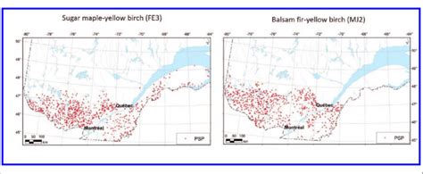 Distribution Of The Permanent Sample Plots Psps Selected For Each Of