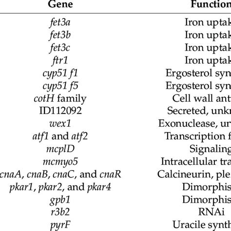 Genes Recently Involved In The Virulence Potential Of Mucorales