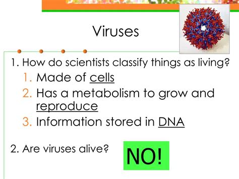 Ppt Viruses Powerpoint Presentation Free Download Id 5938825