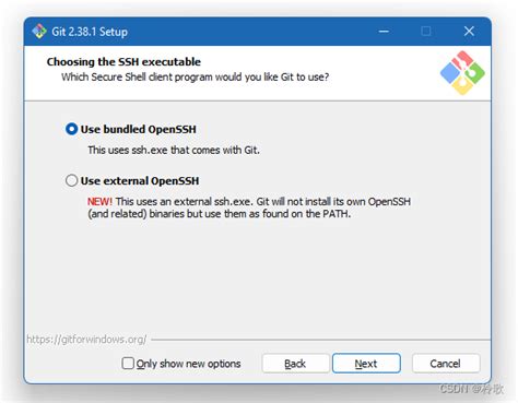 windows安装配置git教程（2022 11 18 git2 38 1） git windows安装配置 柃歌的博客 csdn博客