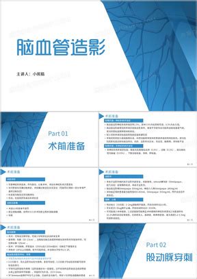 脑血管PPT模板 脑血管PPT模板下载 熊猫办公