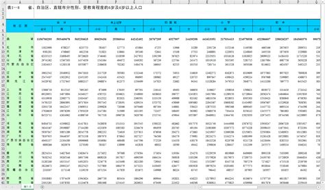 2020年第七次全国人口普查数据excel第一二三四五六七历次分别到省市县乡镇的明细数据 经管之家