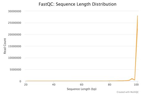 1 RNA Seq Reads To Counts