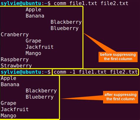 The Comm Command In Linux 10 Practical Examples