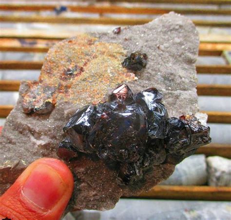 Sediment Hosted Ore Deposits Tour Part Kimberley Foundation