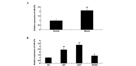 Microrna 27b Inhibits Spry2 Expression And Promotes Cell Invasion In