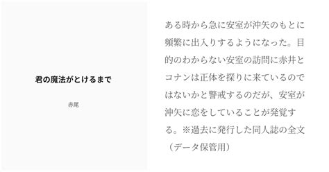 R 18 赤安 コナン小説300users入り 君の魔法がとけるまで 赤尾の小説 Pixiv