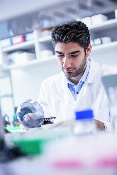 Lab Assistant Using Mini Centrifuge Photograph By Science Photo Library