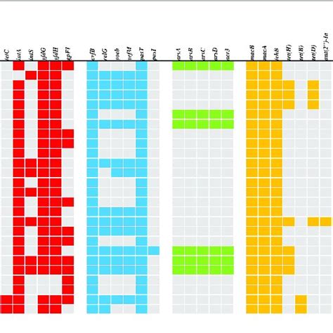 Heat Map Visualizing Genes Derived From Mobile Genetic Elements Download Scientific Diagram