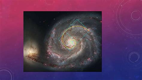 Fibonacci And The Golden Ratio Pptx