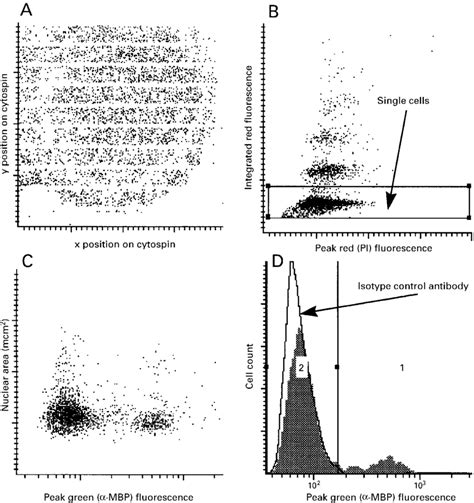 Optical Configuration Of The Laser Scanning Cytometer The Laser Beam