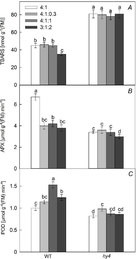 The Content Of Thiobarbituric Acid Reactive Substances Tbars A And