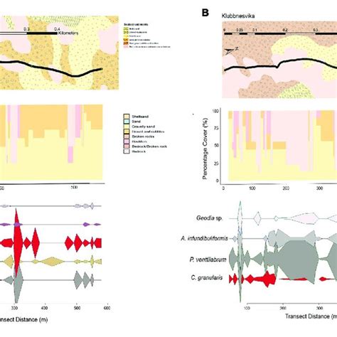Mixed Substrate Seabed Characteristics Sequential Bar Plots Of The Download Scientific