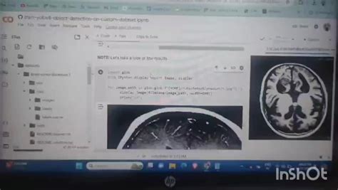 Nandini Seepana On Linkedin Object Detection With Yolo Aimers