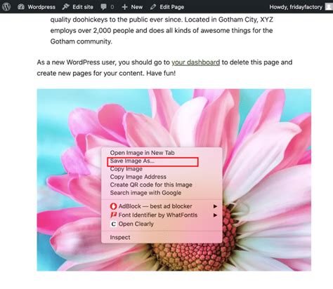 How To Use WebP Images On WordPress Everything You Need To Know
