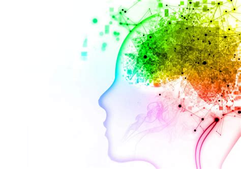 The Power Of Multiple Intelligences In Learning And Life