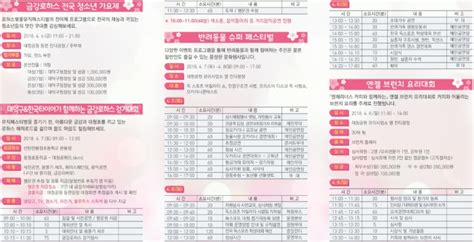 축제 정보 센터 페스티벌