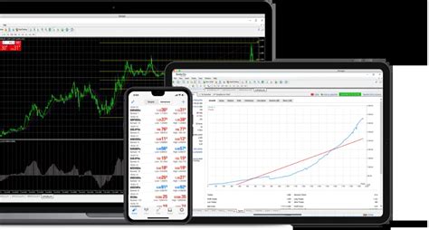 Mt Vs Mt Which Trading Platform To Choose Nest Financial