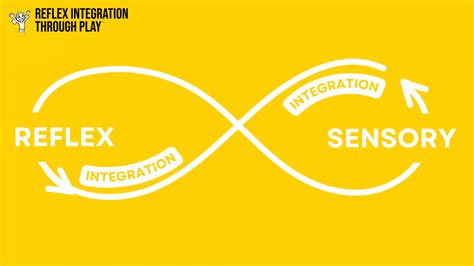 Sensory Integration And Reflex Integration A Close Connection Reflex
