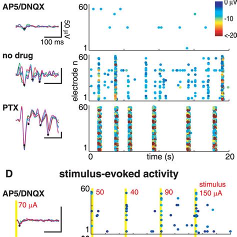 Measuring Spontaneous And Stimulus Evoked Activity From Cortical