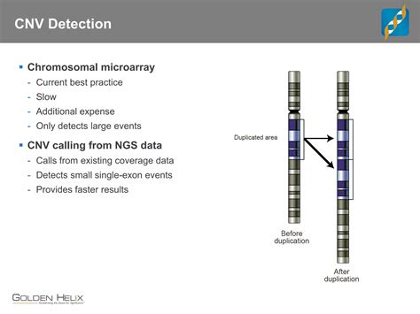 Cnv Analysis In Varseq Pdf