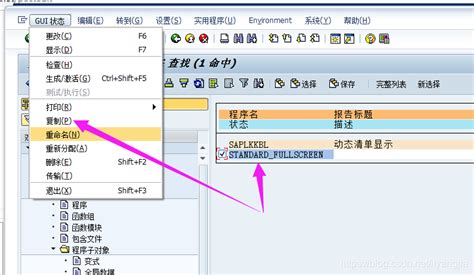 Abap 复制标准的gui Statusabap 标准status Csdn博客