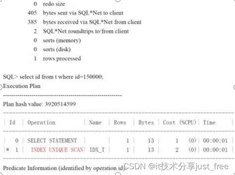 oracle 索引概述，索引类型，索引监控以及限制索引使用的情况 oracle数据库索引类型有哪些 csdn博客