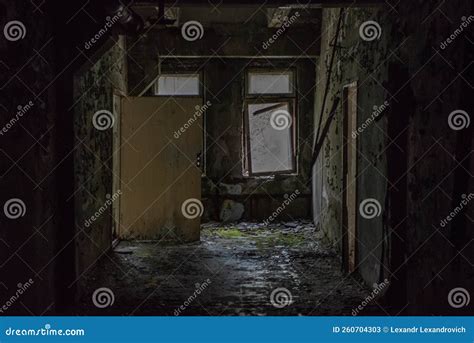 Dark Old Corrupted Room Covered In Moss In The Building Located In